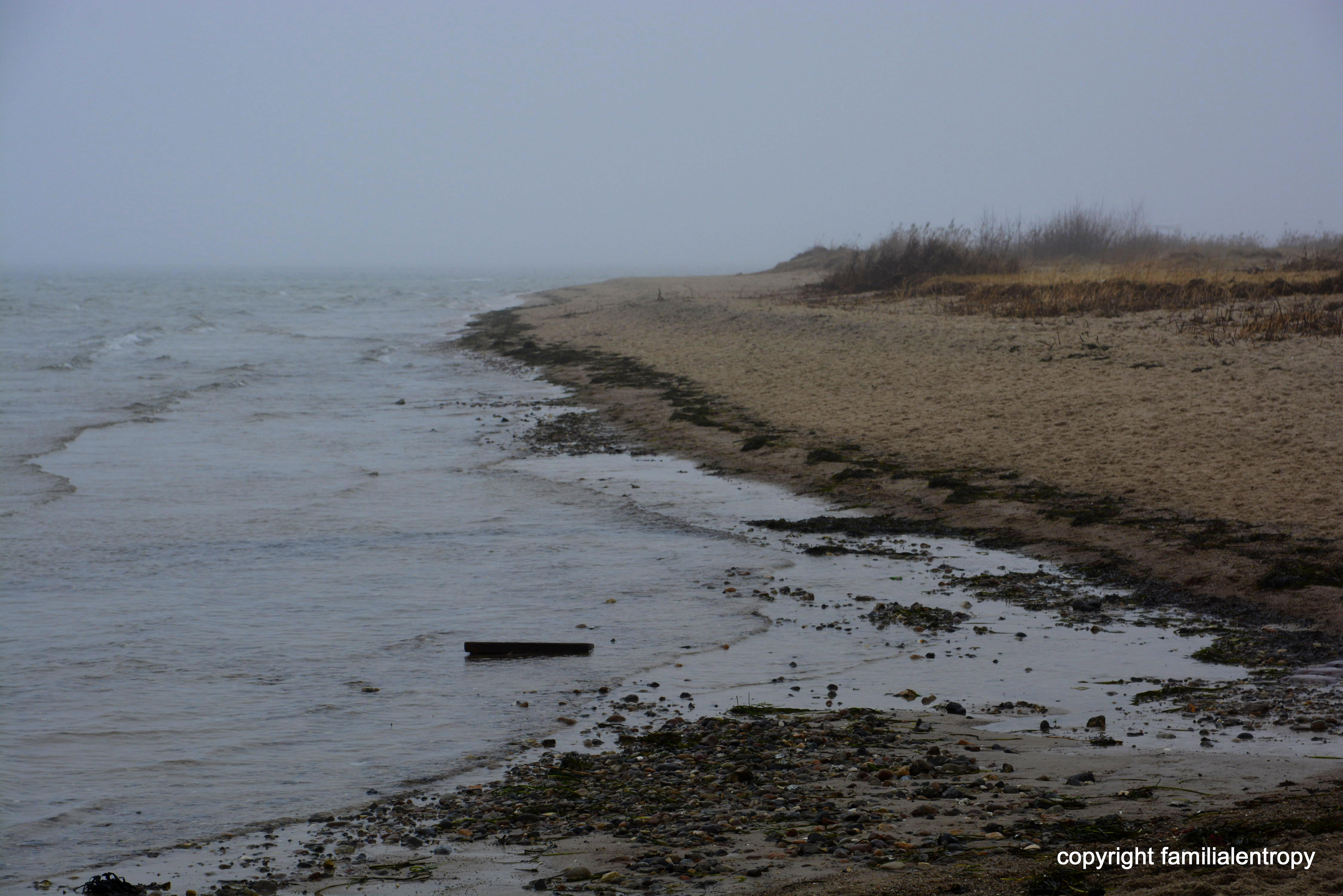 1°C am Strand / 1°C at the beach | familial entropy